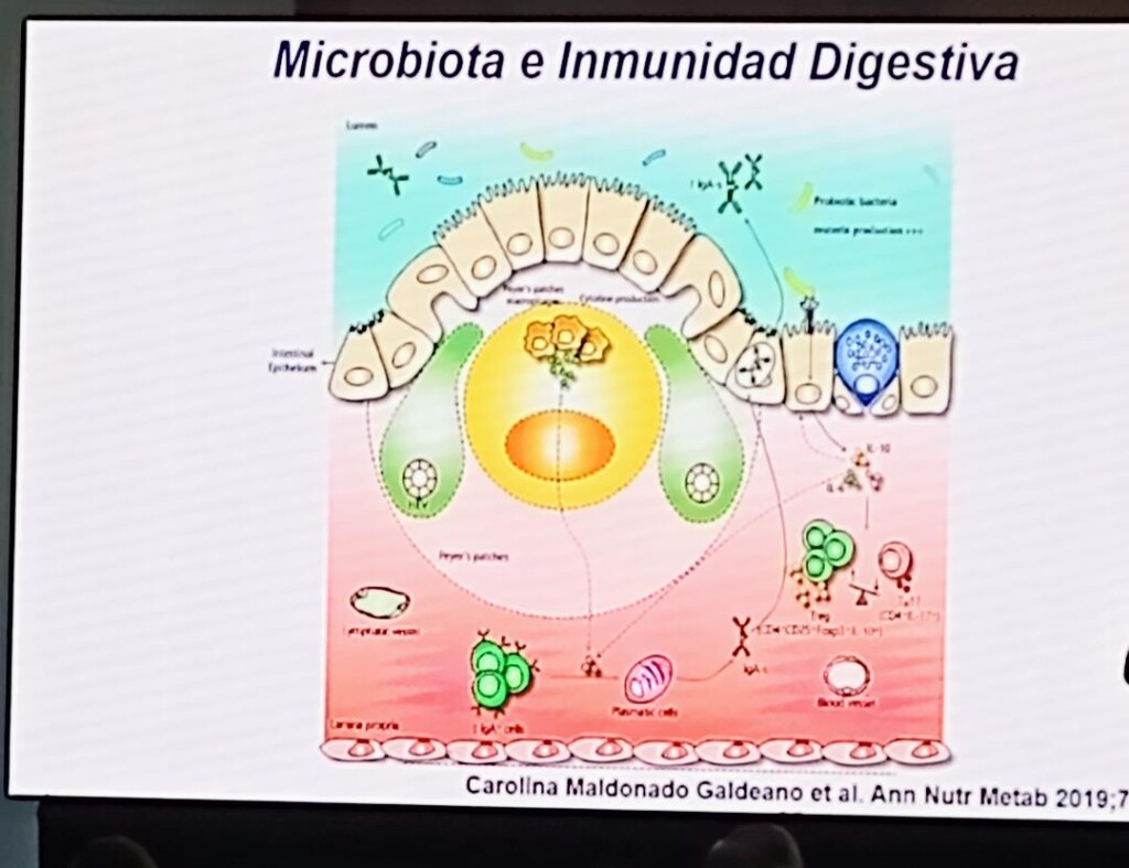 microbiota – En Contacto Con